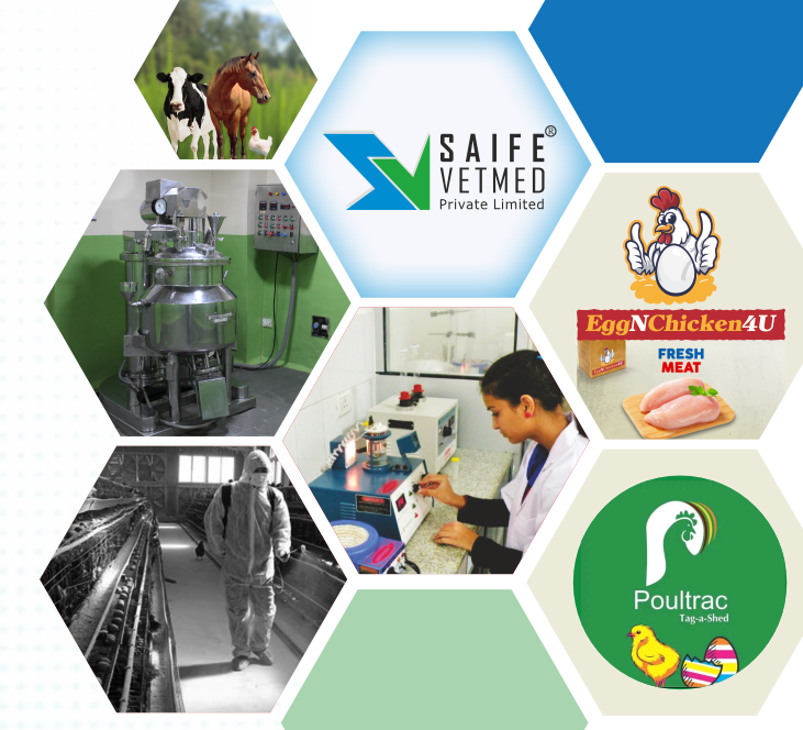 Saife Vetmed Pvt Ltd | Animal Health Care | Veterinary Feed Supplement